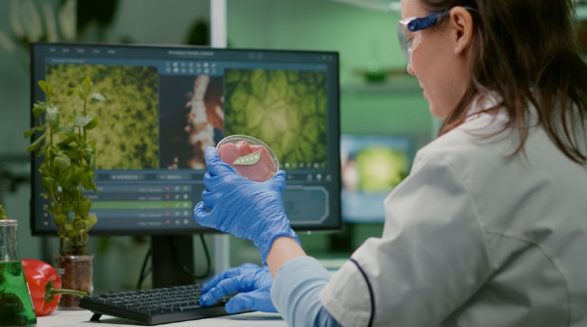 Decoding Life's Data: The Role of Bioinformatics in Modern Biology